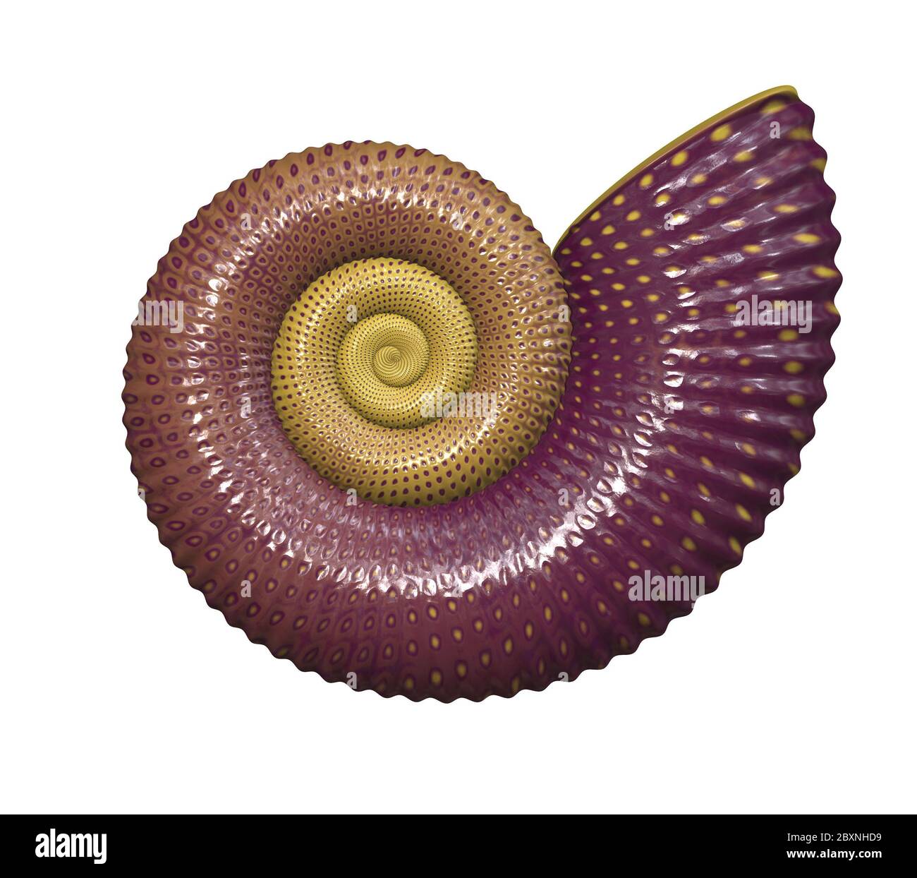 High detailed hi-res stock photography and images - Alamy