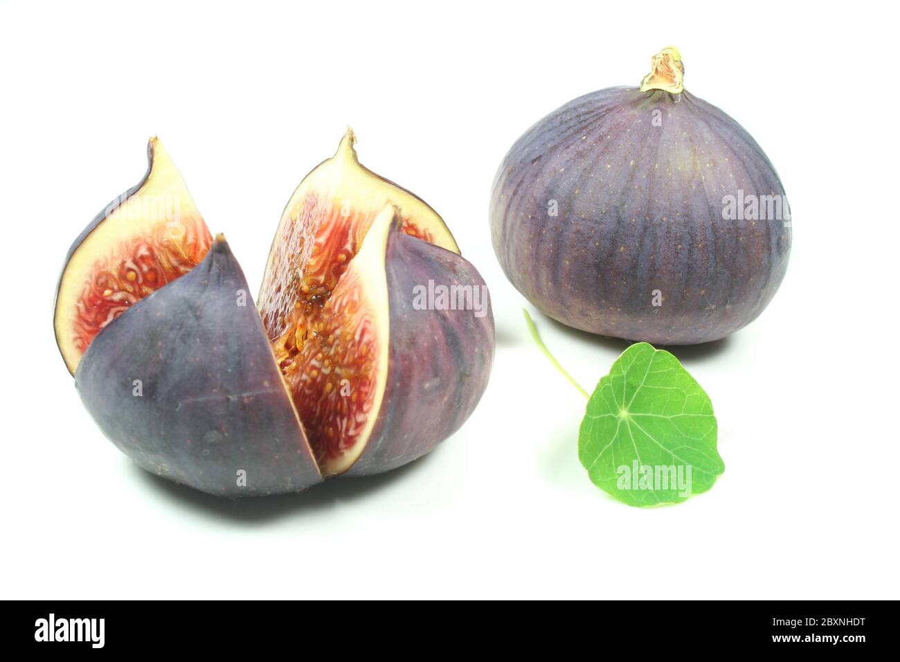 Figs ficus carica fresh hi-res stock photography and images - Alamy