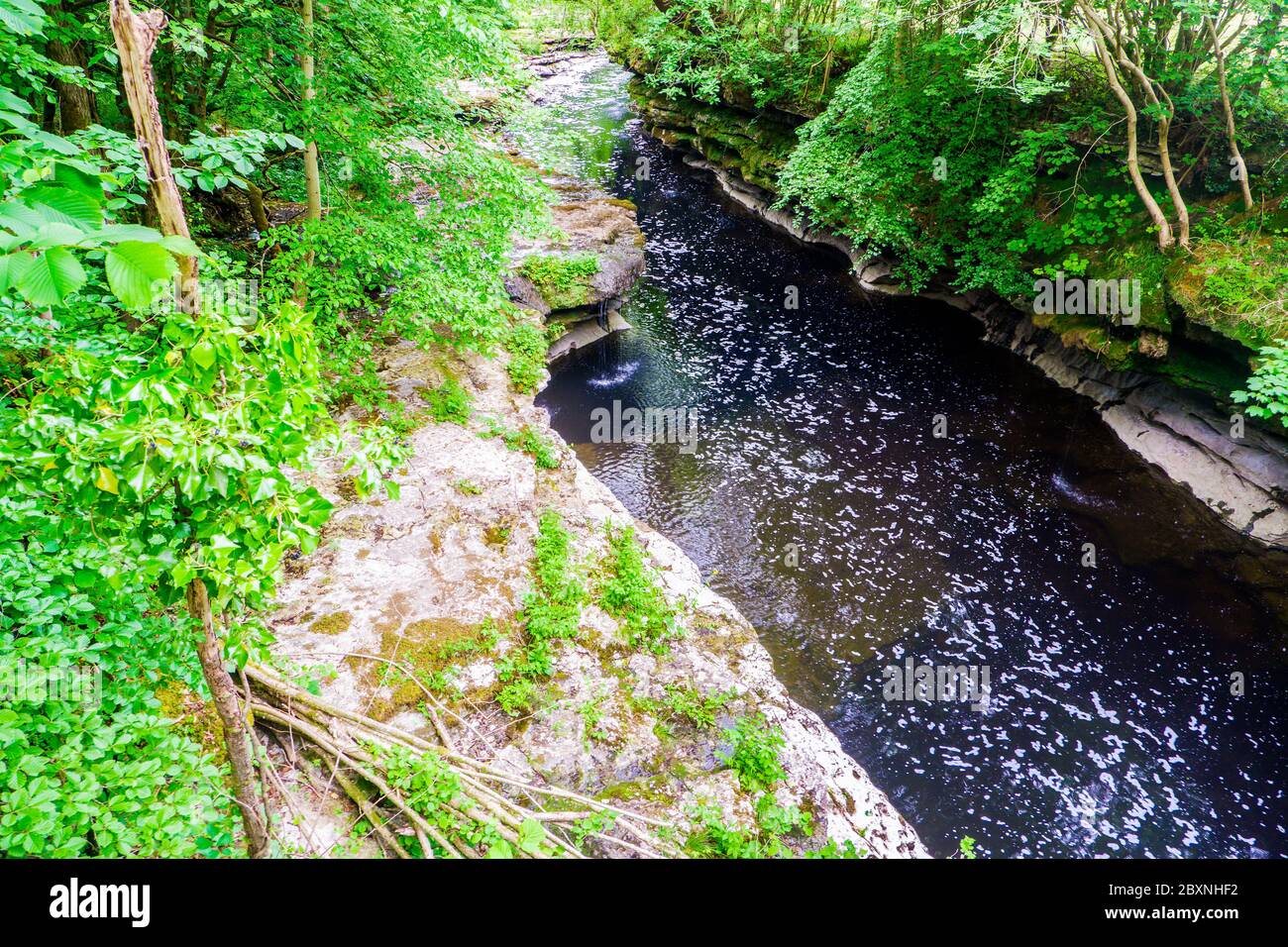 River Kent running through rocky gorge near Sedgwick UK Stock Photo - Alamy