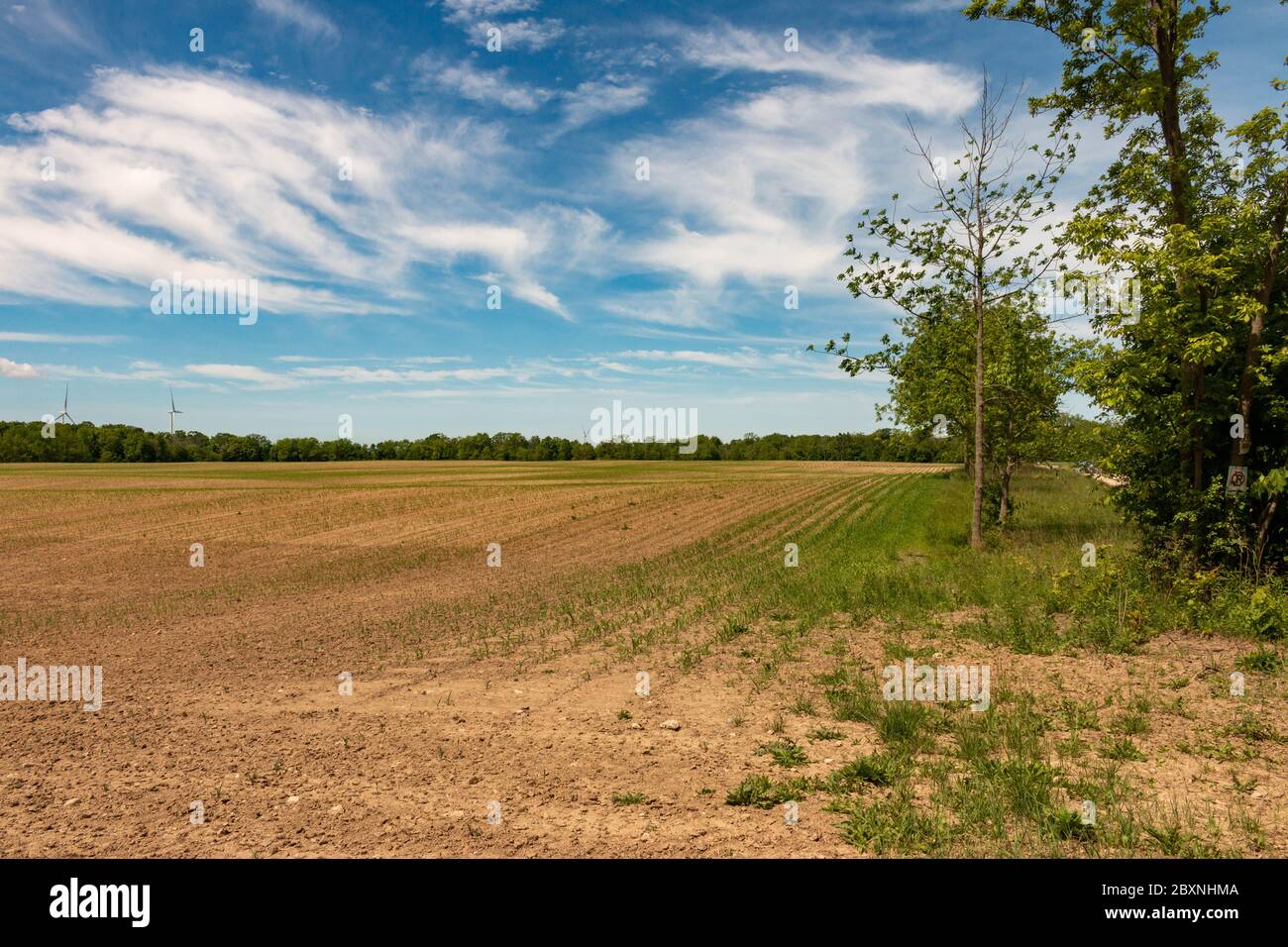 Farm land, Ontario, Canada. View of freshly planted fields Stock Photo ...