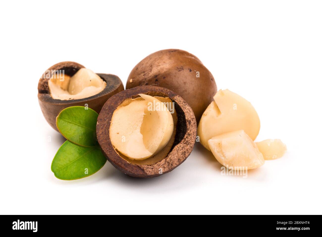 Inshell macadamia nuts with leaves isolated on white background Stock ...
