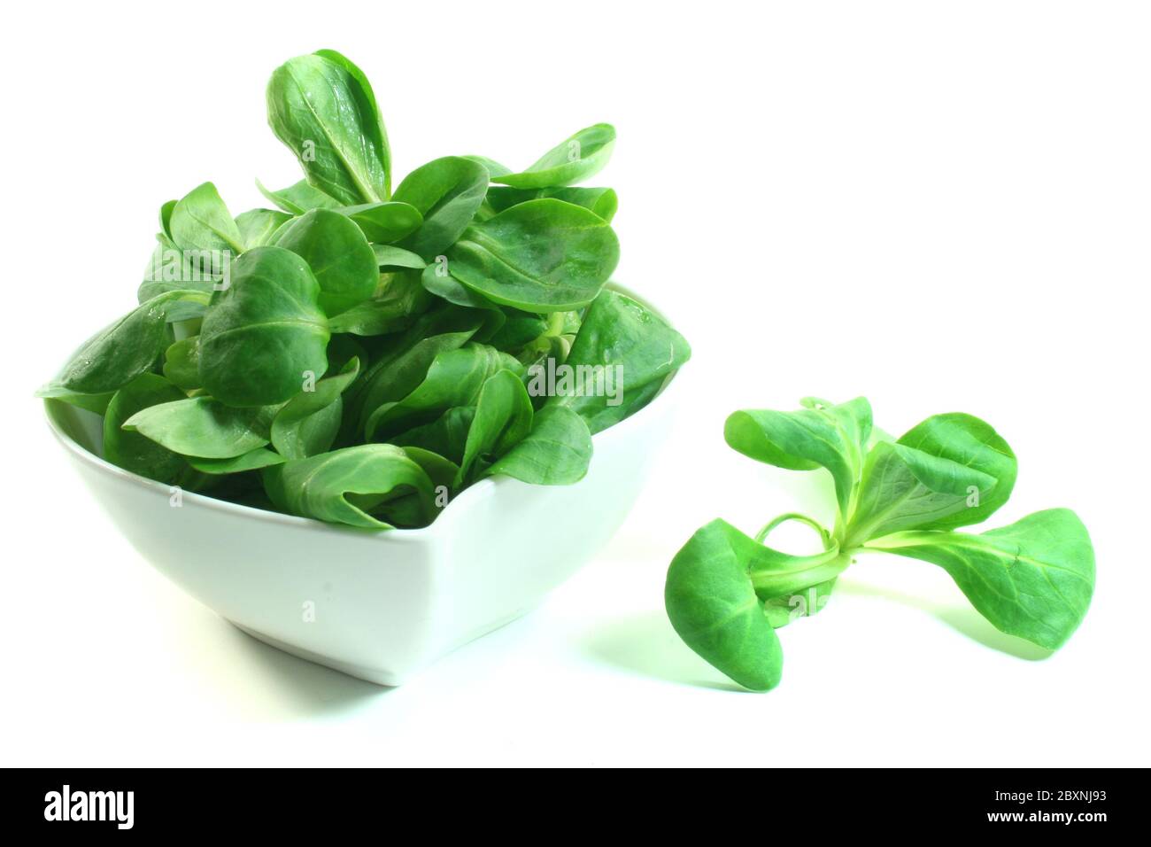 Field salad Cut Out Stock Images & Pictures - Alamy