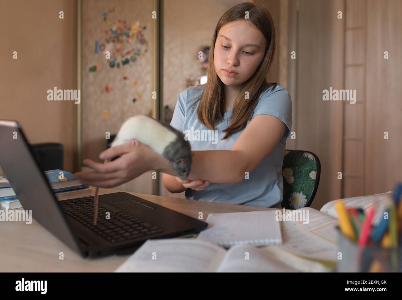 Teen zoom learning hi-res stock photography and images - Alamy