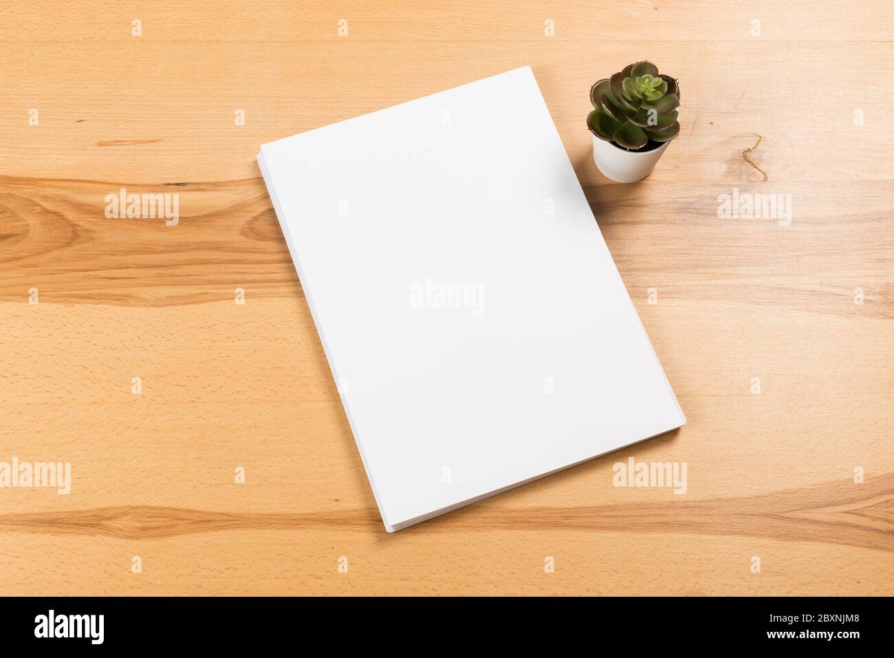 Top view of modern desk office workplace with a4 paper. Blank branding ...