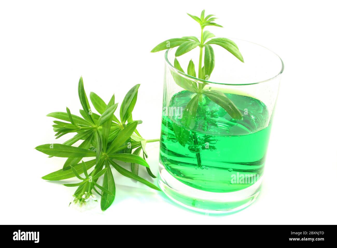 Woodruff lemonade hi-res stock photography and images - Alamy