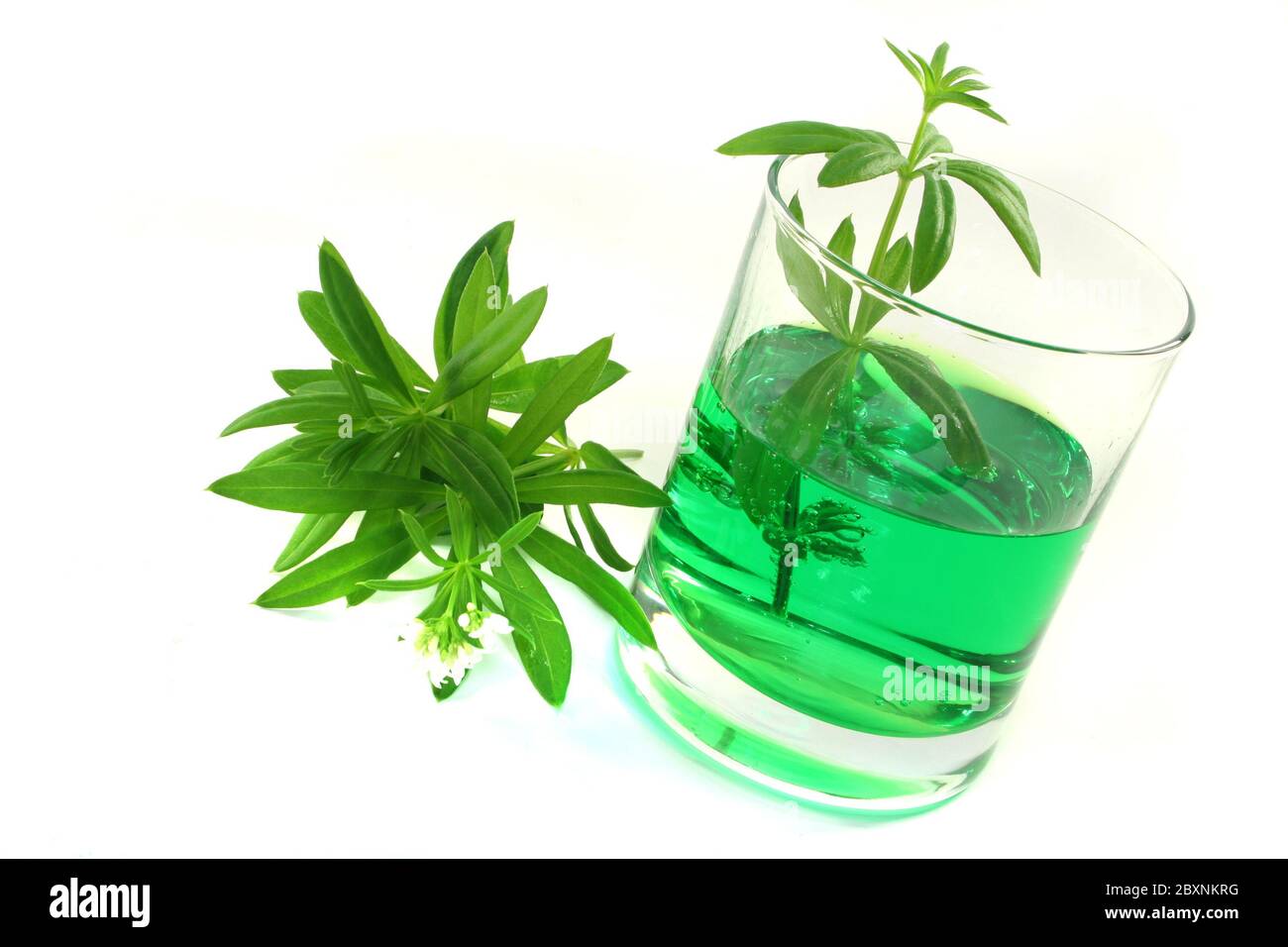 Woodruff lemonade hi-res stock photography and images - Alamy