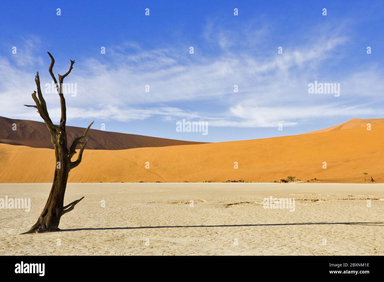 Dried out sand hi-res stock photography and images - Alamy