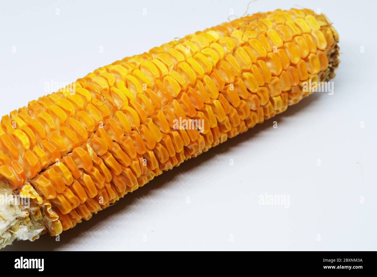 Fresh organic Sweet corn isolated on white background Stock Photo - Alamy