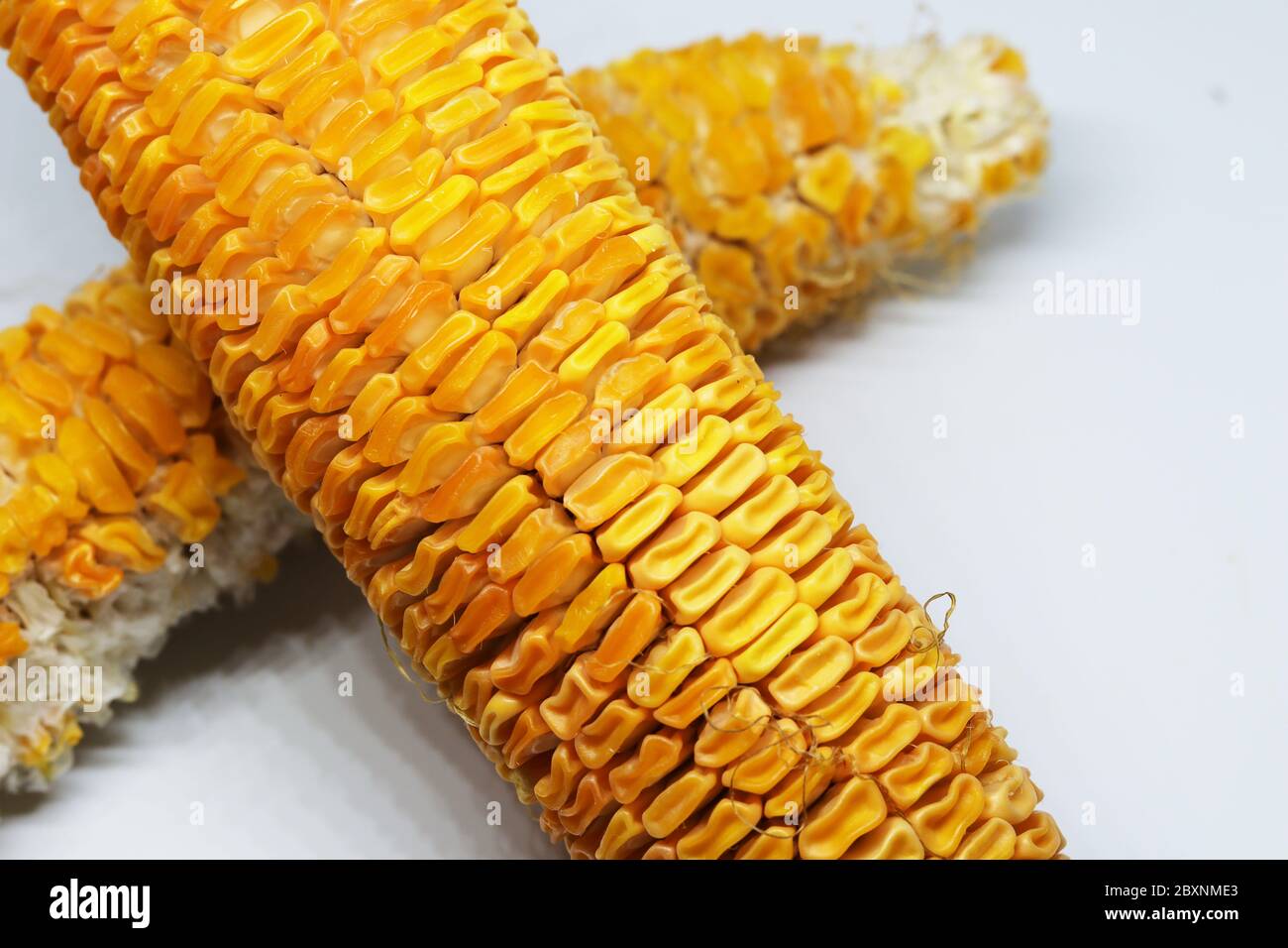Fresh organic Sweet corn isolated on white background Stock Photo - Alamy