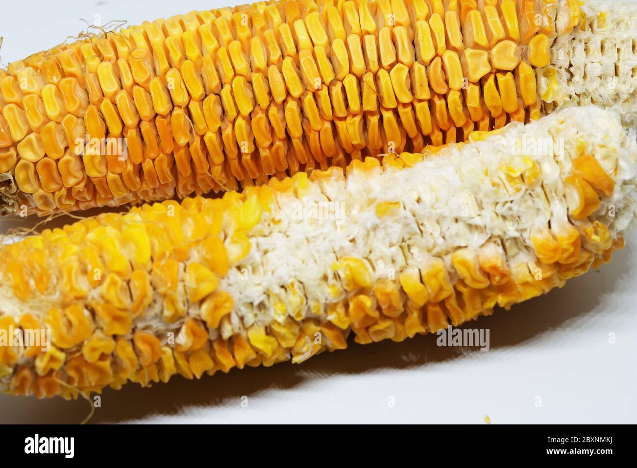 Fresh organic Sweet corn isolated on white background Stock Photo - Alamy
