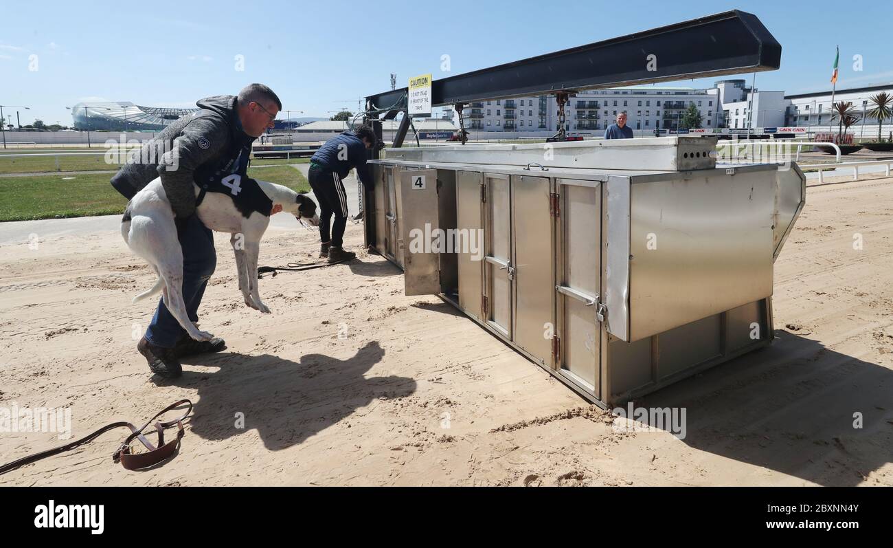 Damien Matthews and his son, Ben, load their dogs into traps for a time ...