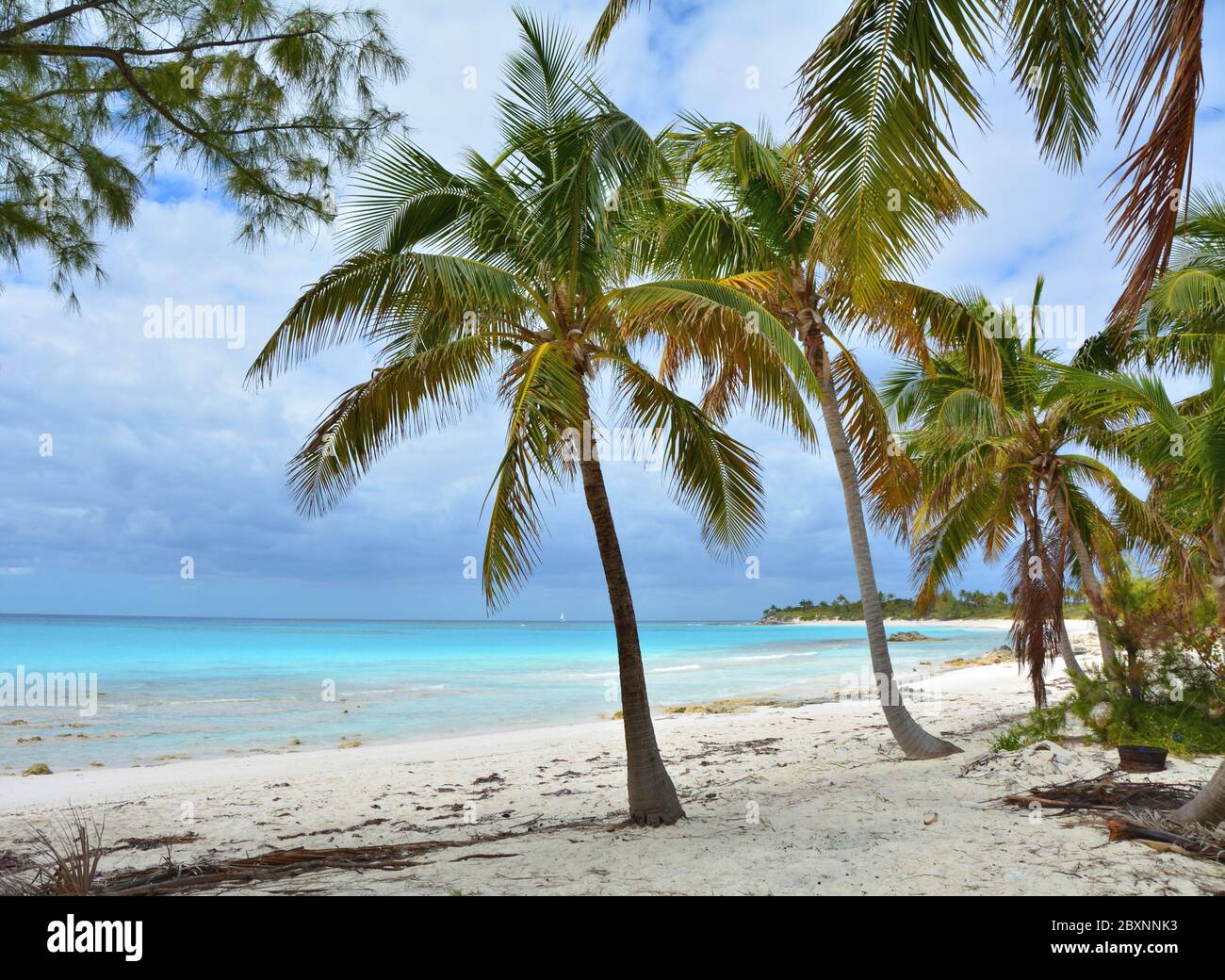 Paradise beach on Eleuthera island, Bahamas Stock Photo - Alamy