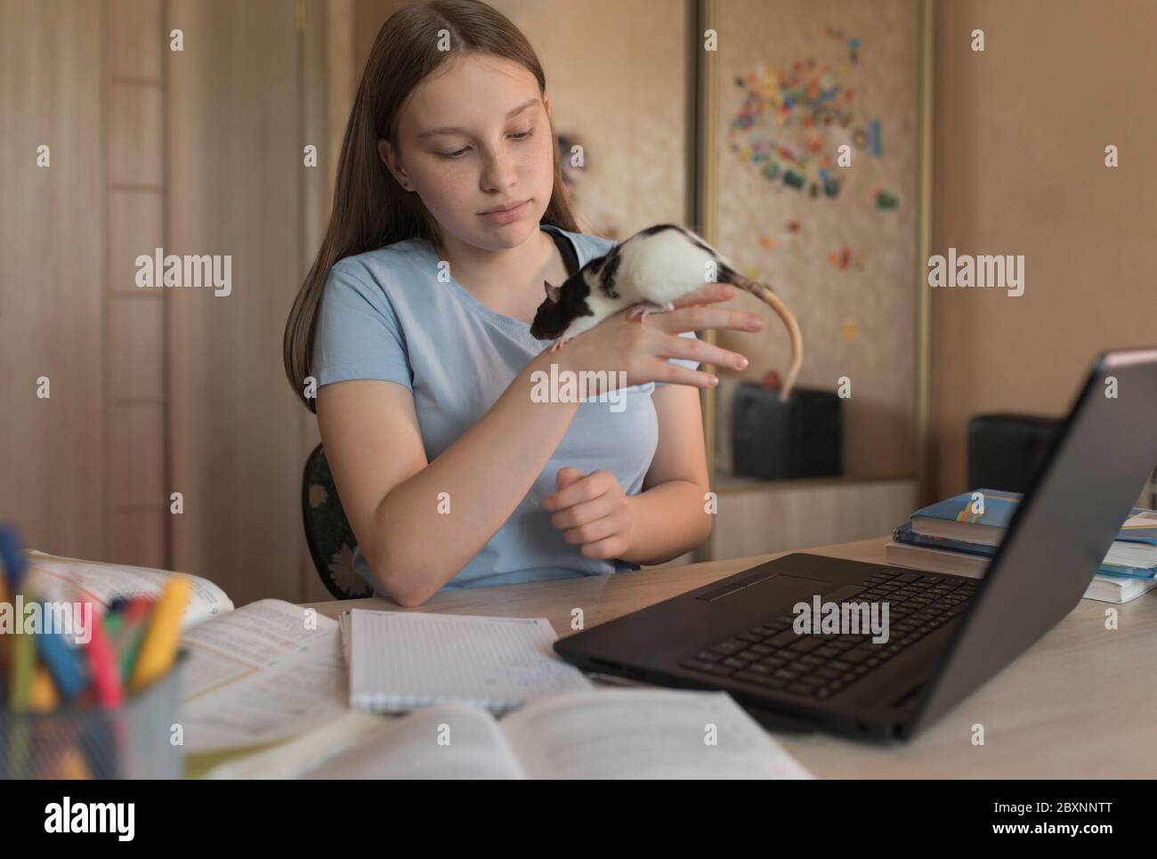 The broadcast with the mouse hi-res stock photography and images - Alamy