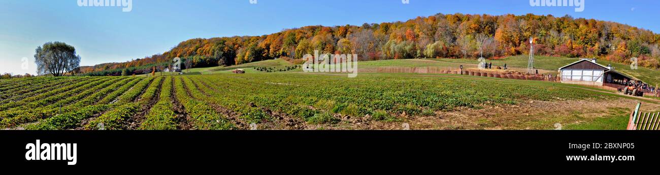 Milton ontario hi-res stock photography and images - Alamy