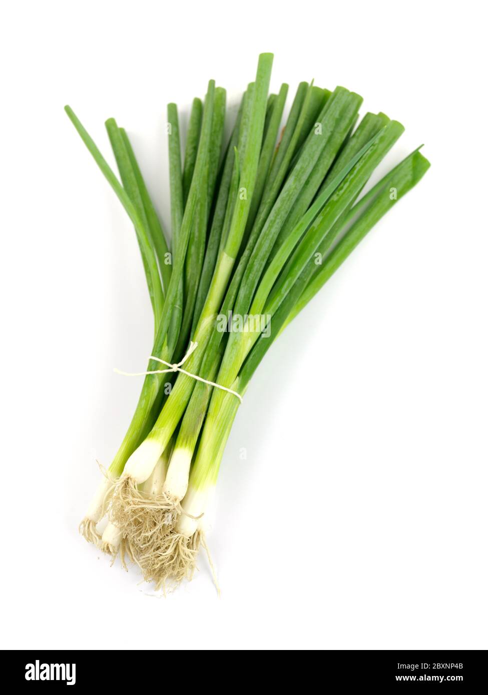 Chopped spring onions Cut Out Stock Images & Pictures - Alamy