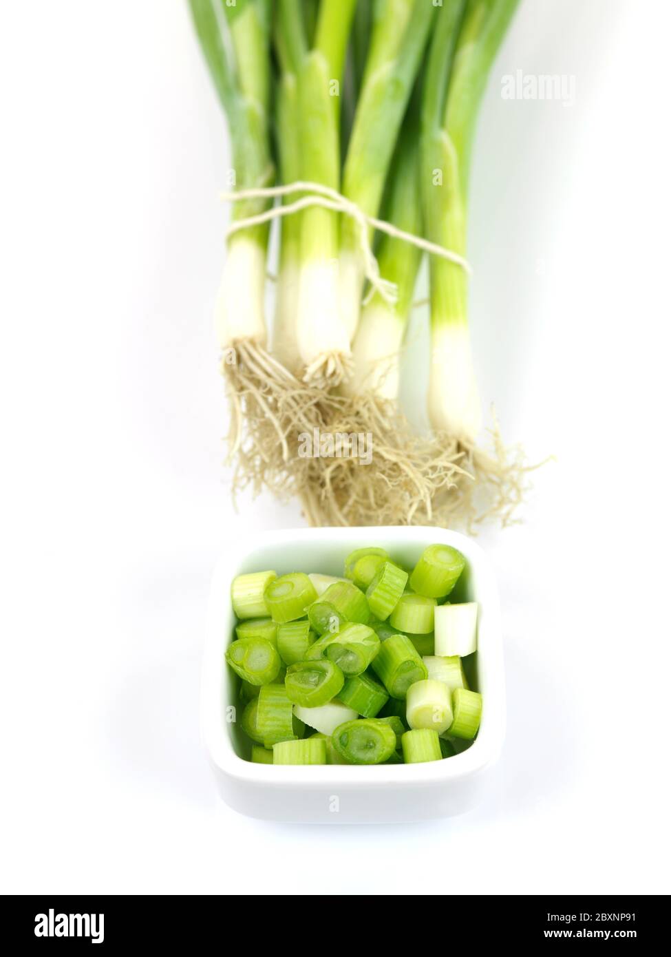 Spring Onions isolated against a white background Stock Photo - Alamy