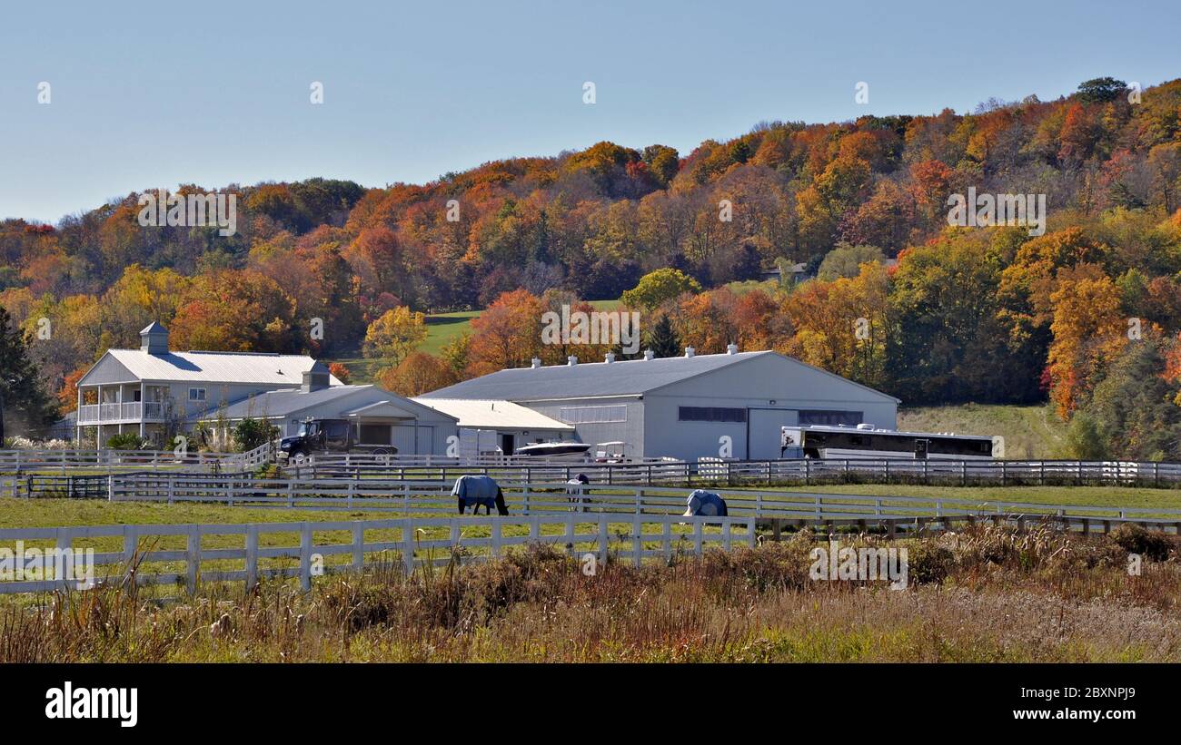 Milton horse hi-res stock photography and images - Alamy