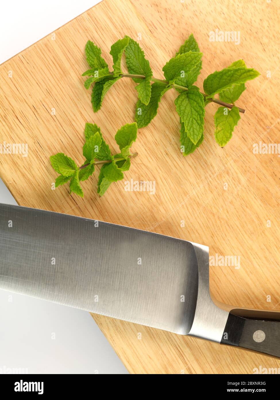 Mint on a chopping board isolated against a white background Stock ...
