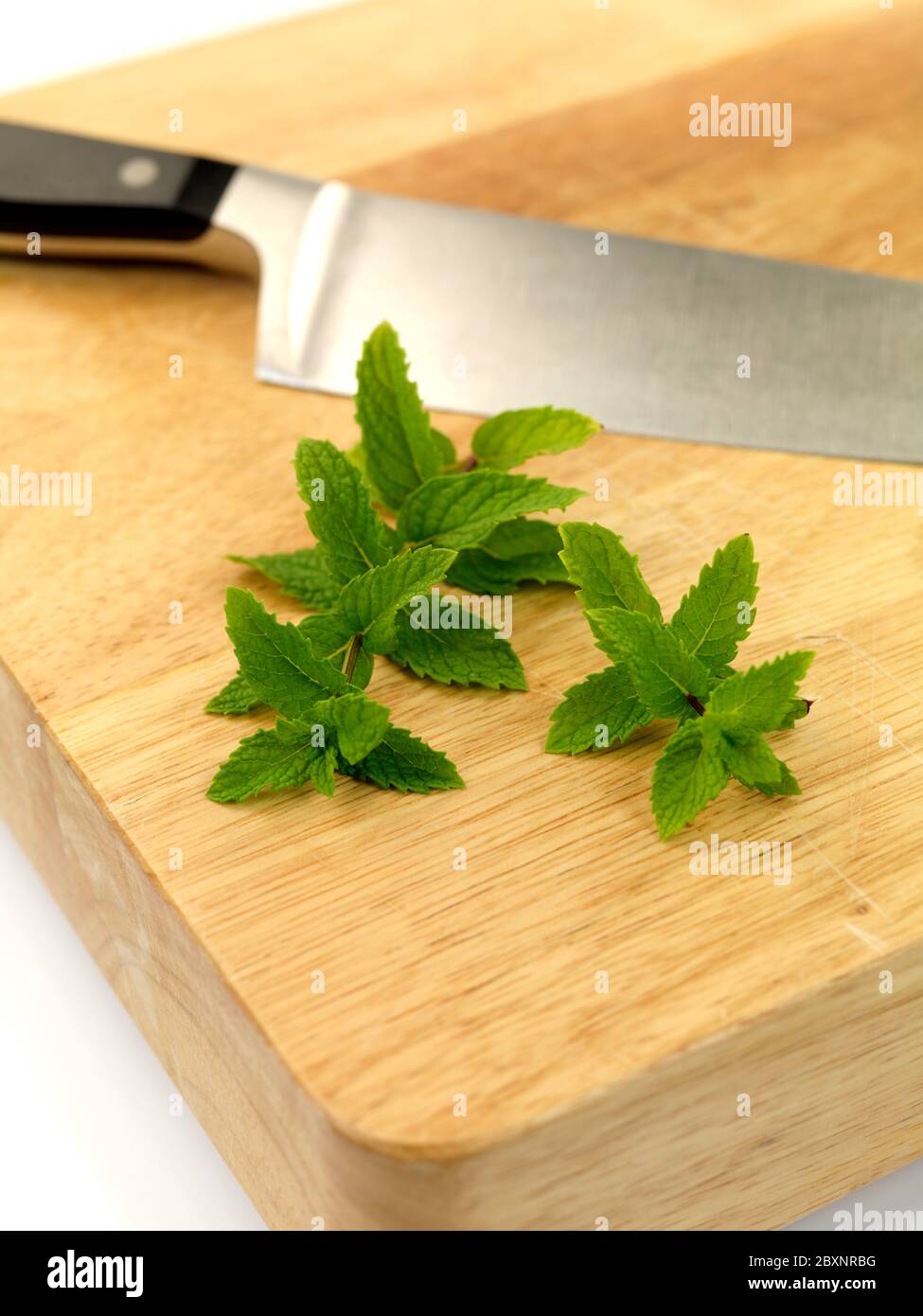 Mint on a chopping board isolated against a white background Stock ...