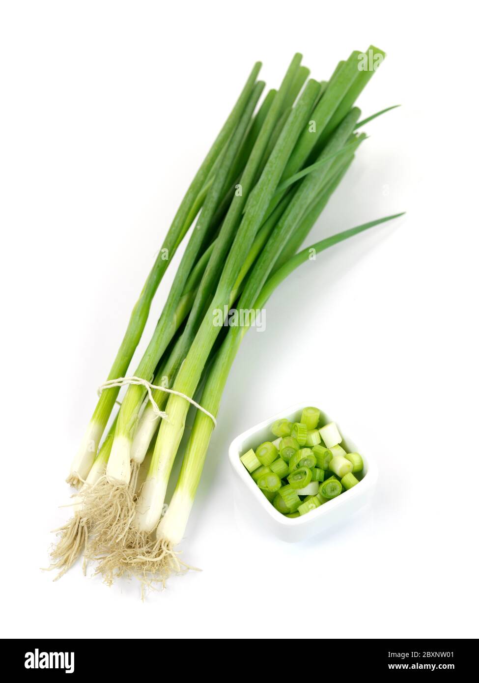 Spring Onions isolated against a white background Stock Photo - Alamy