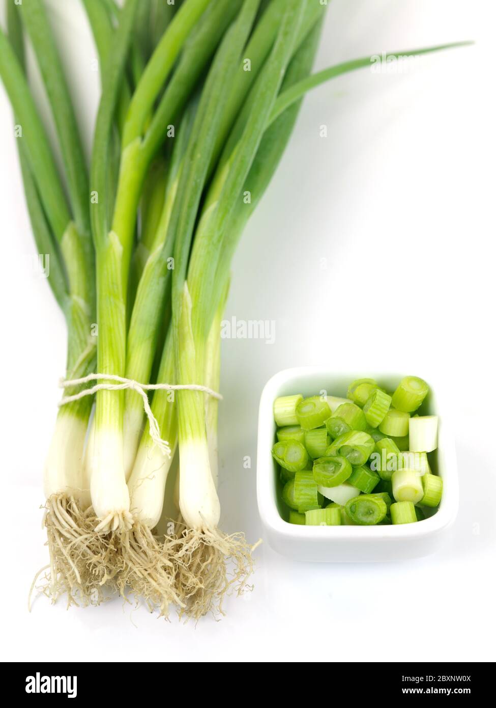 Spring Onions isolated against a white background Stock Photo - Alamy