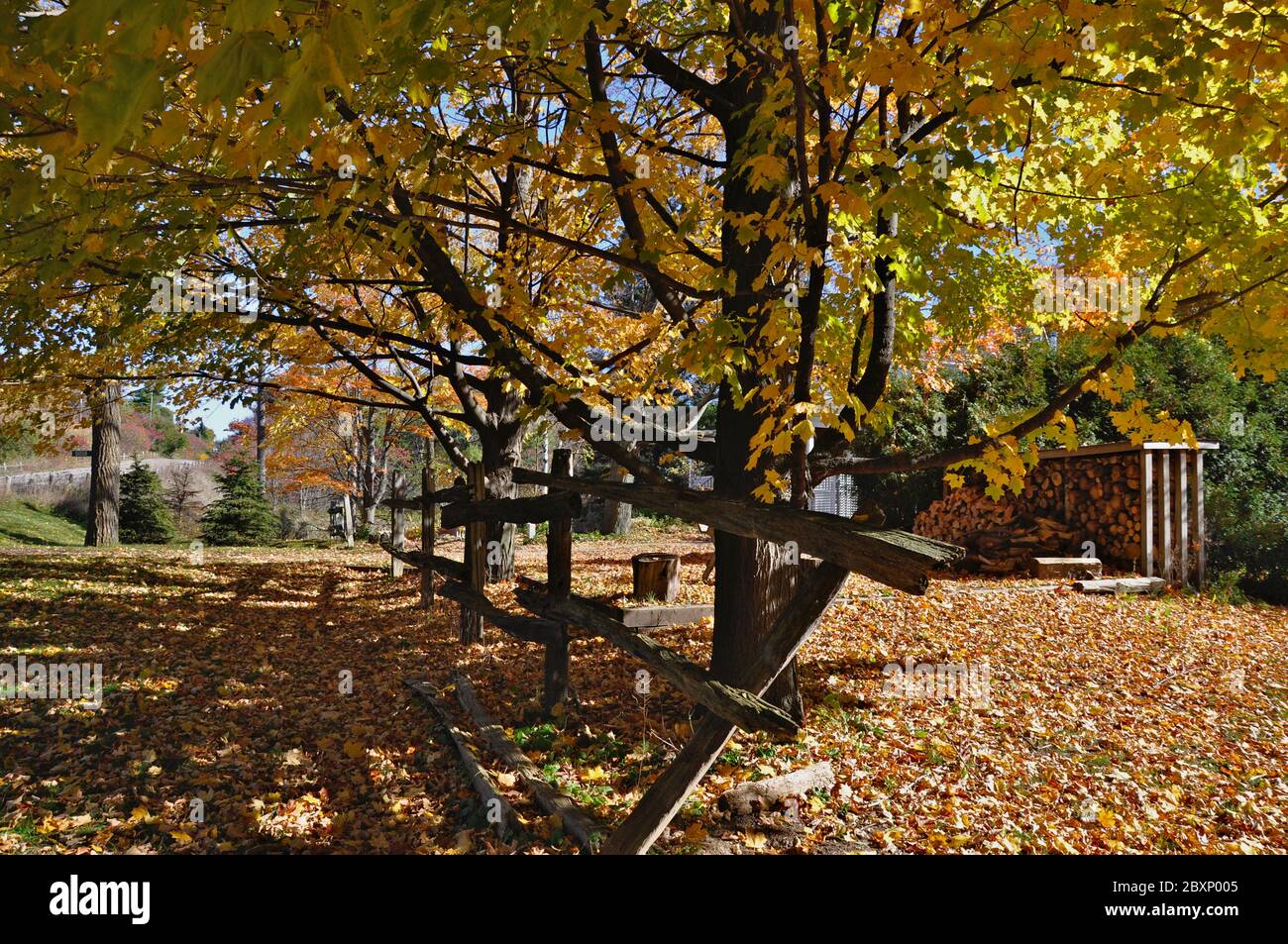 Milton Ontario High Resolution Stock Photography and Images - Alamy