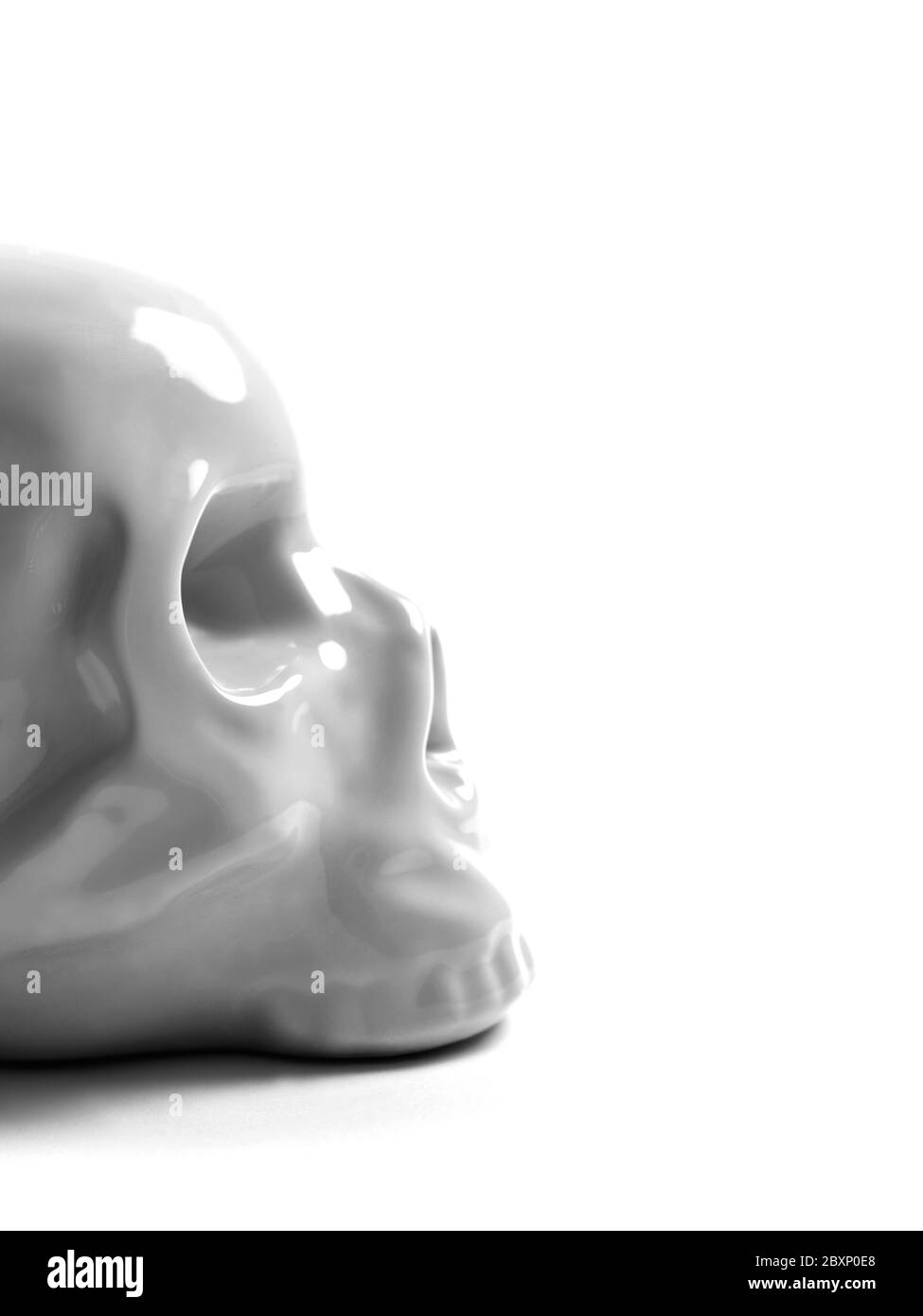 Bone white color Black and White Stock Photos & Images - Alamy