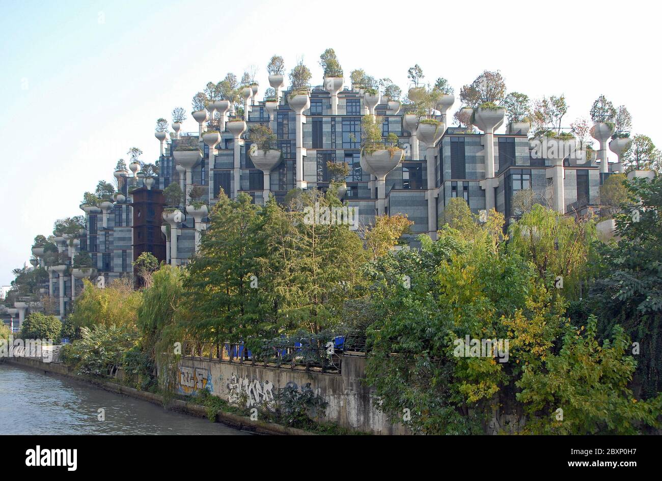 1000 trees shanghai hi-res stock photography and images - Alamy