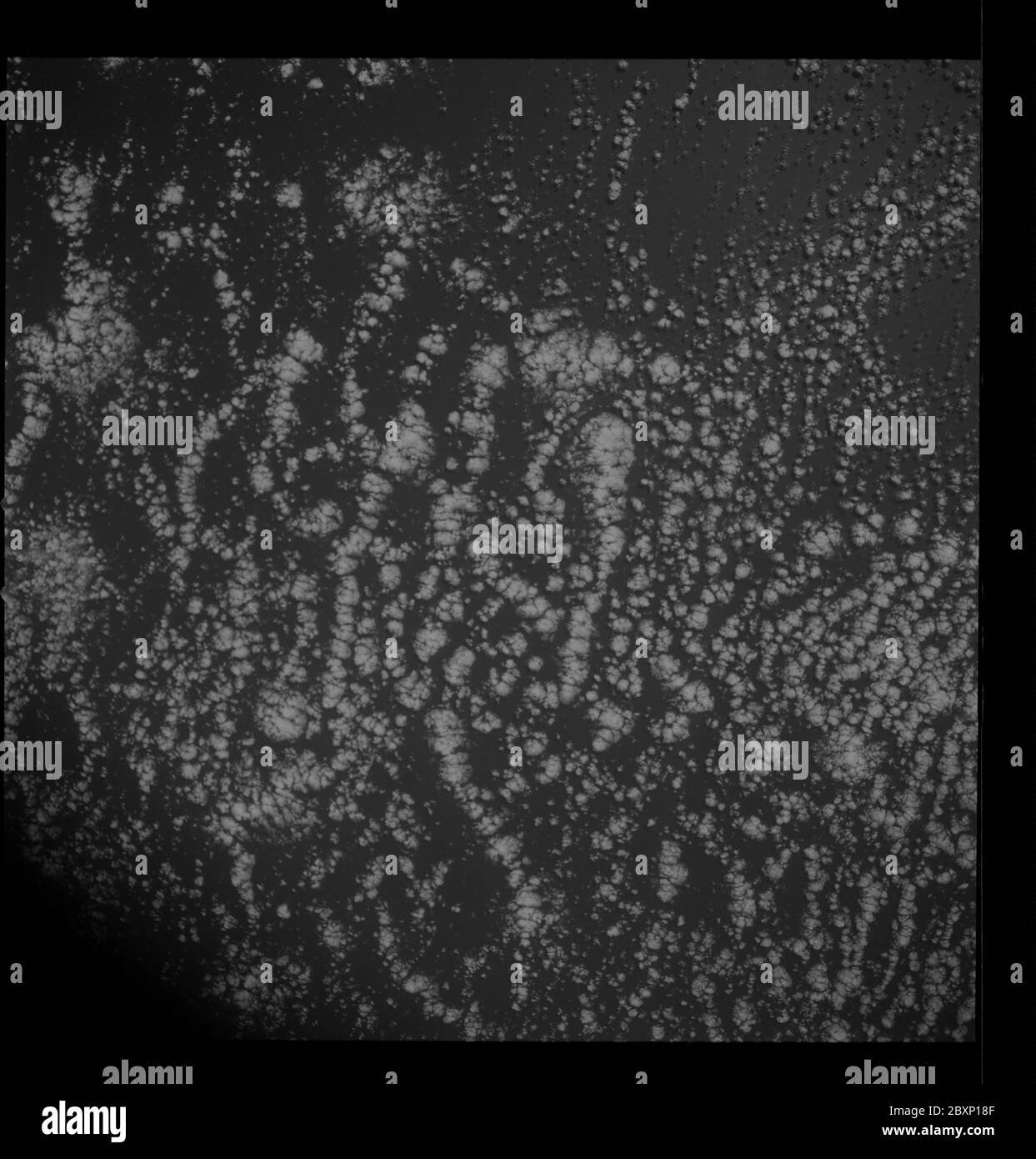 AS09-26B-3843B - Apollo 9 - Apollo 9 Mission image - S0-65 ...