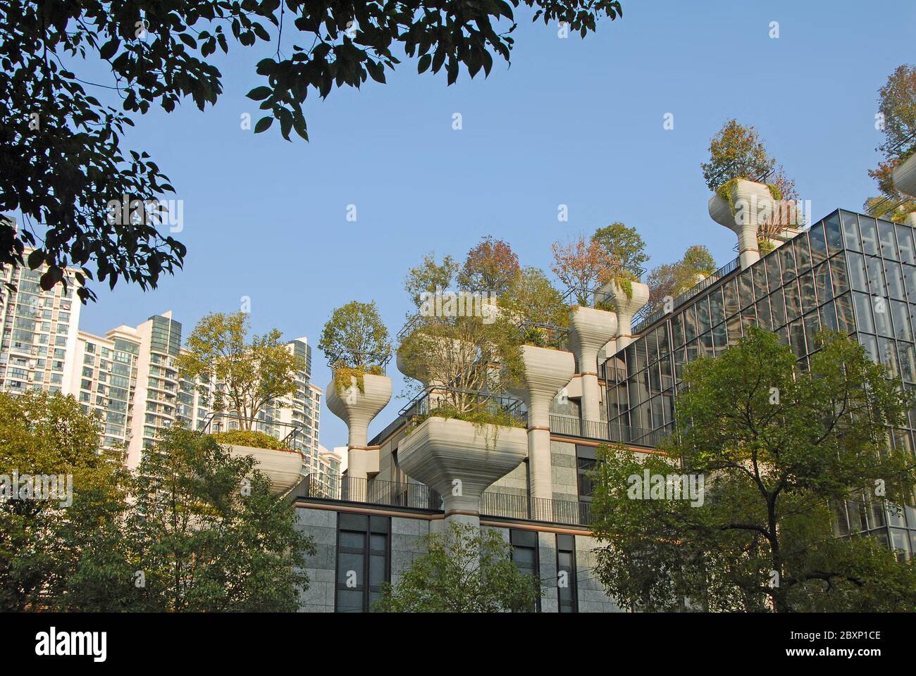 1000 Trees Complex in Shanghai, China. 1000 Trees is a tree-covered ...