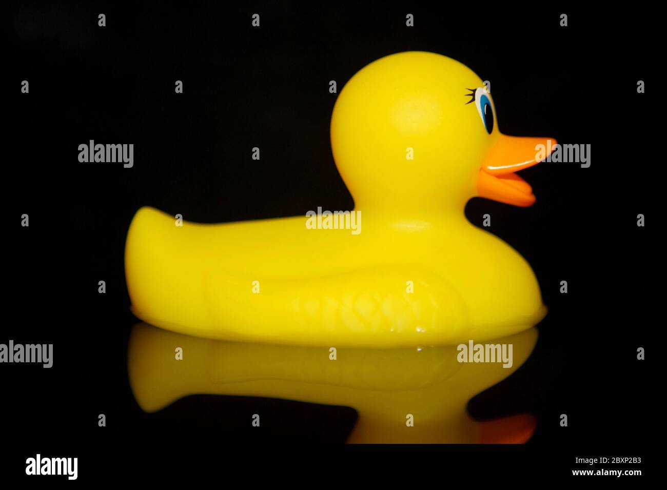 Rubber duck cutout hi-res stock photography and images - Alamy