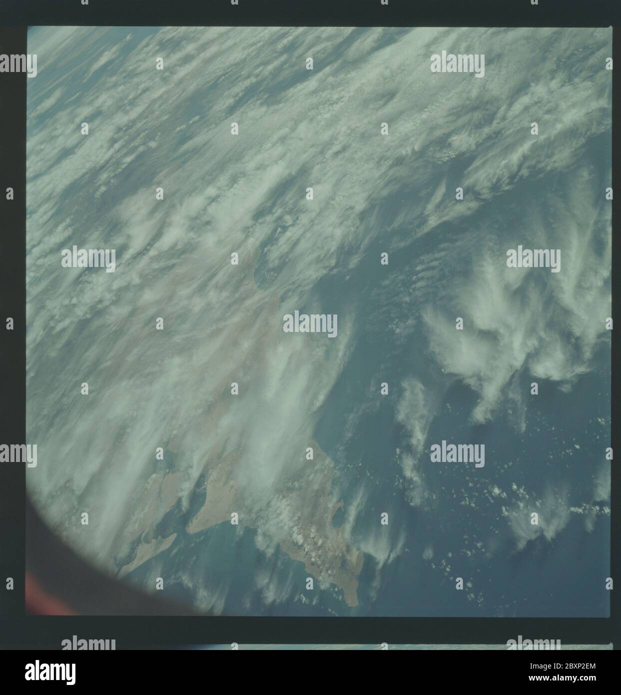 Liebre del desierto hi-res stock photography and images - Alamy