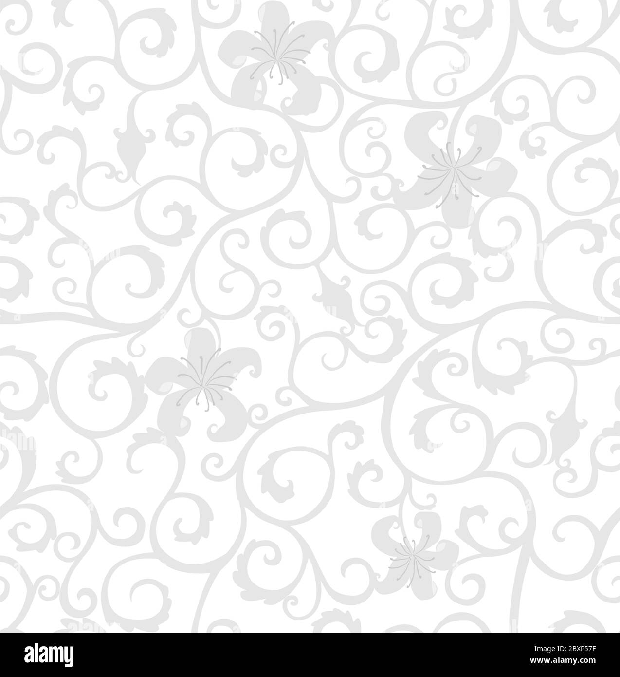 Background with gray curls and lily flowers, isolated on a white ...