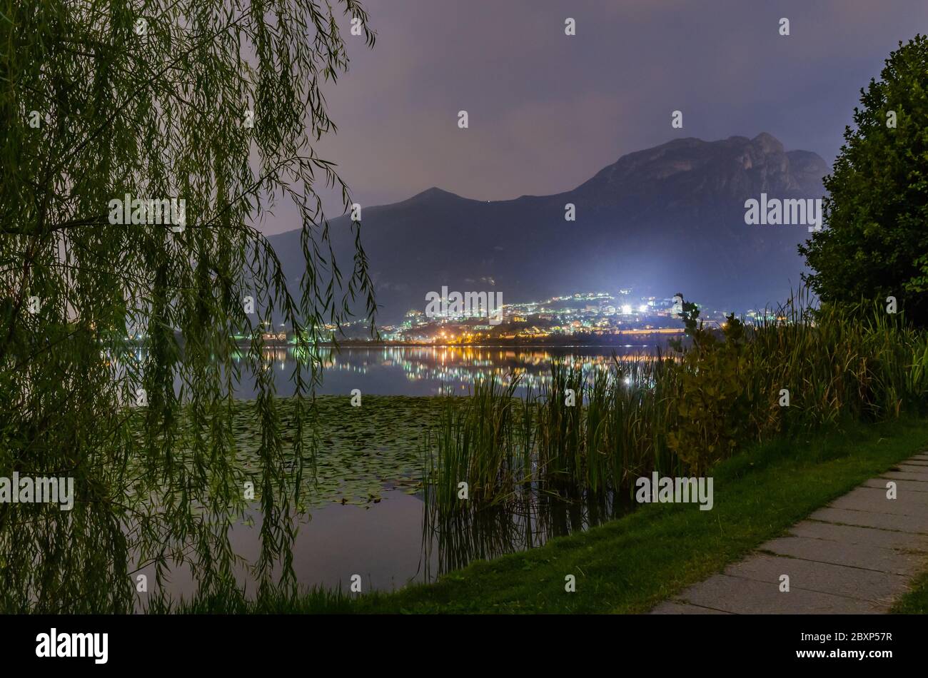 Weeping willow night hi-res stock photography and images - Alamy