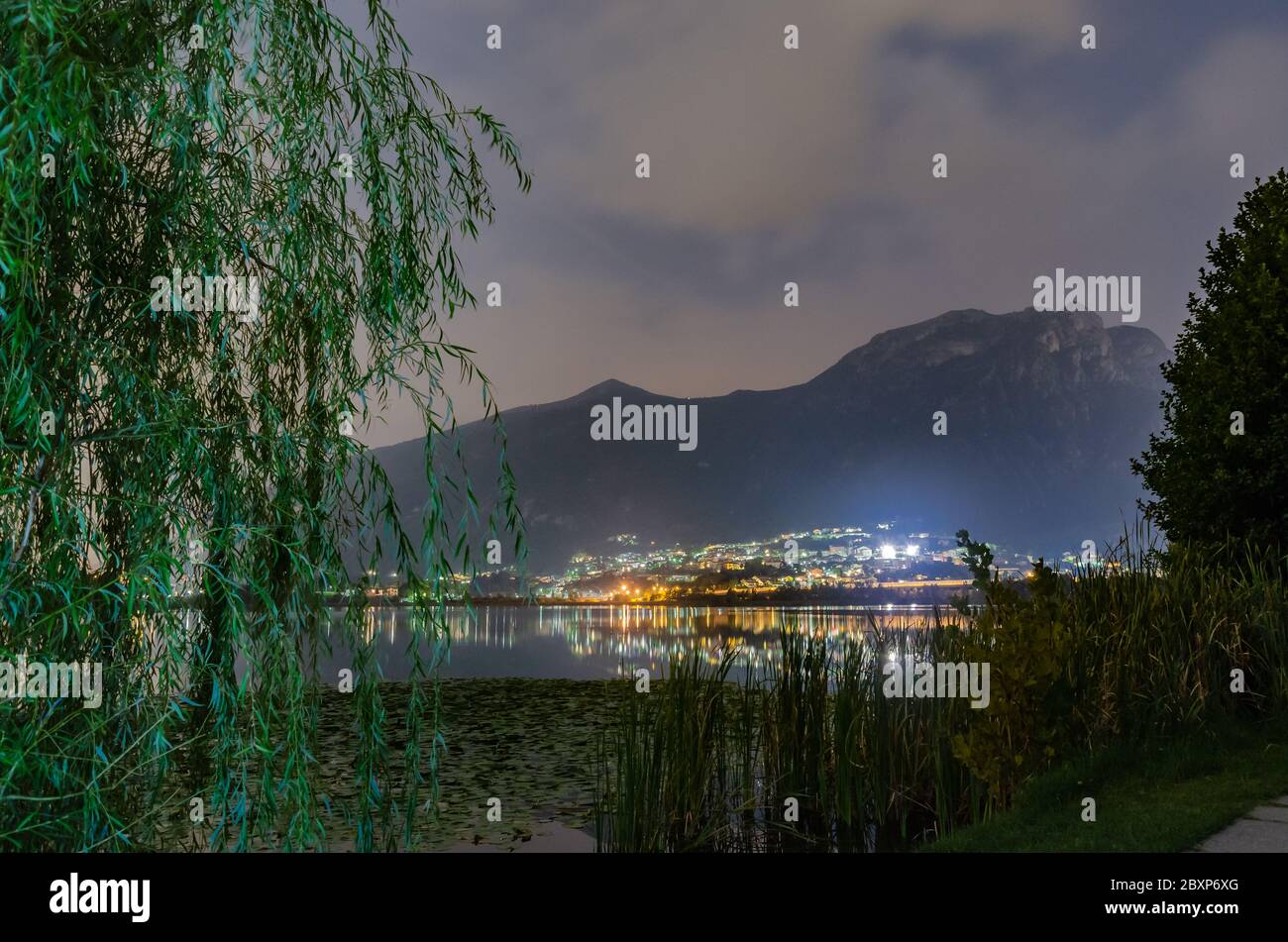Weeping willow night hi-res stock photography and images - Alamy