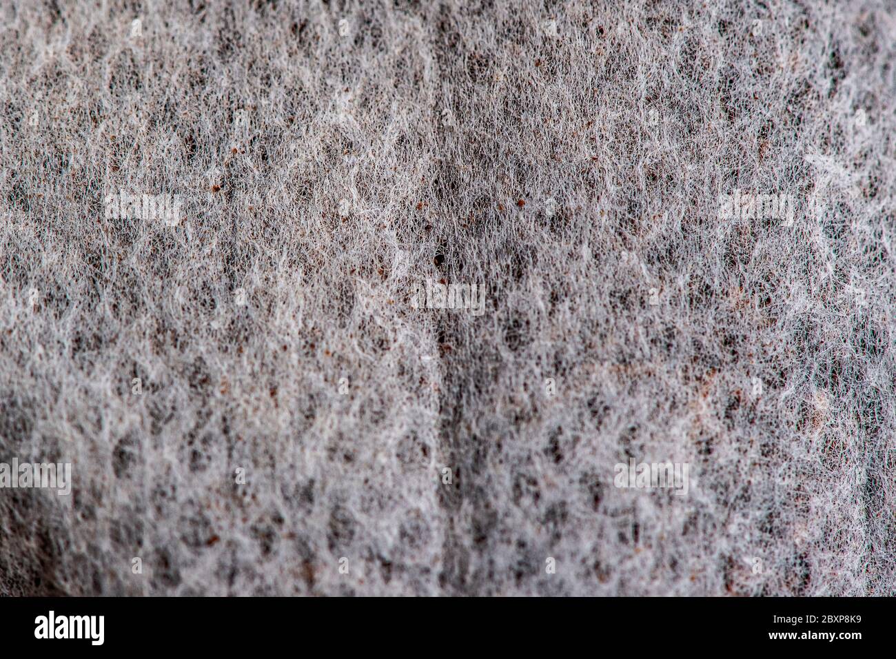 Tea one teabag close hi-res stock photography and images - Alamy