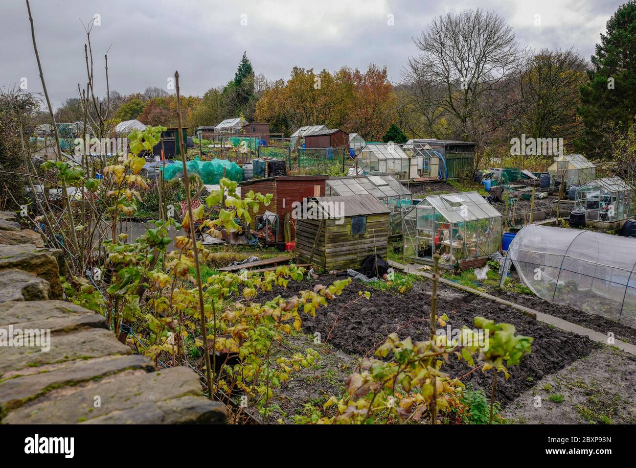 Allotment harvest hi-res stock photography and images - Alamy
