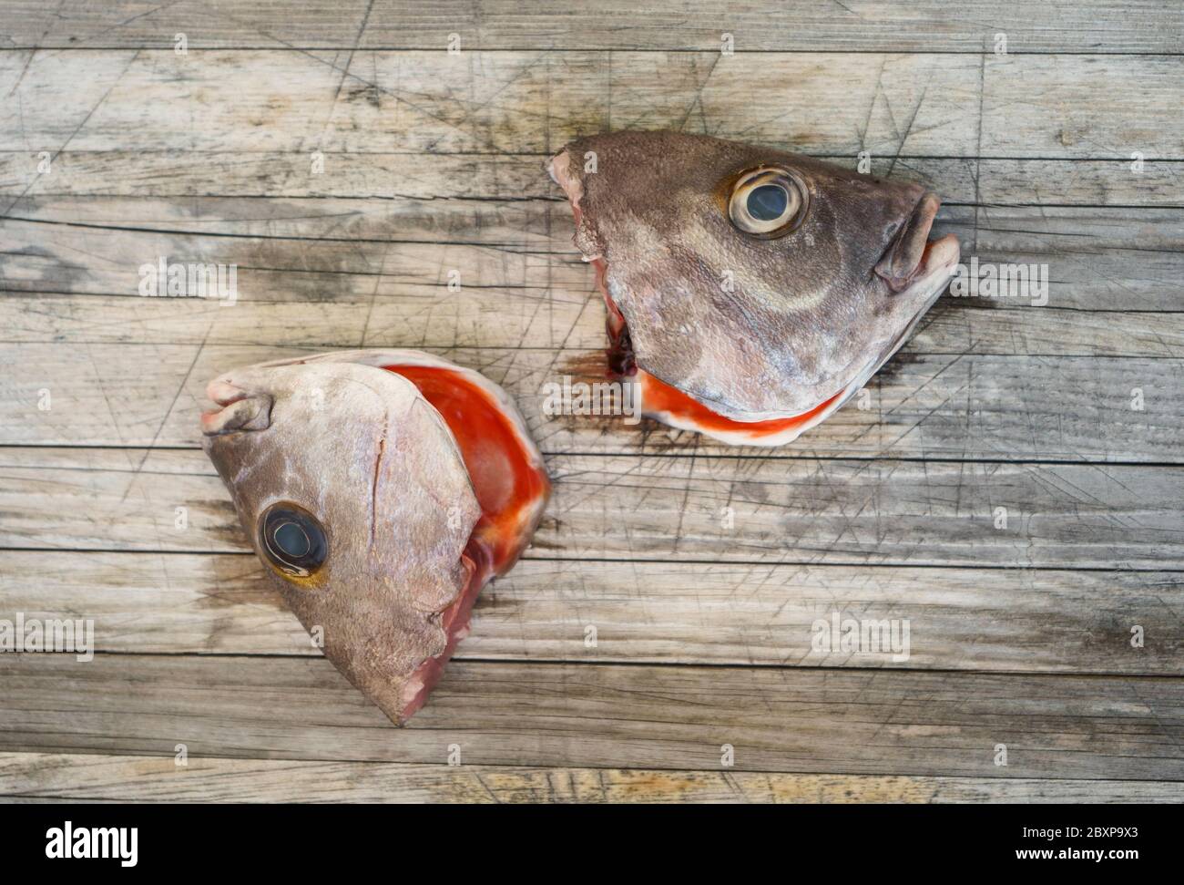 Board heads hi-res stock photography and images - Alamy