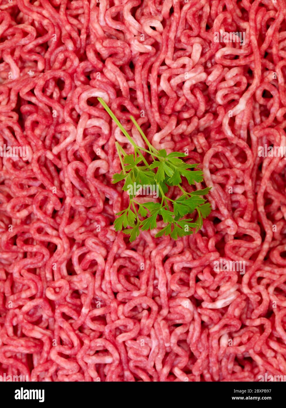 Fresh minced beef Stock Photo - Alamy