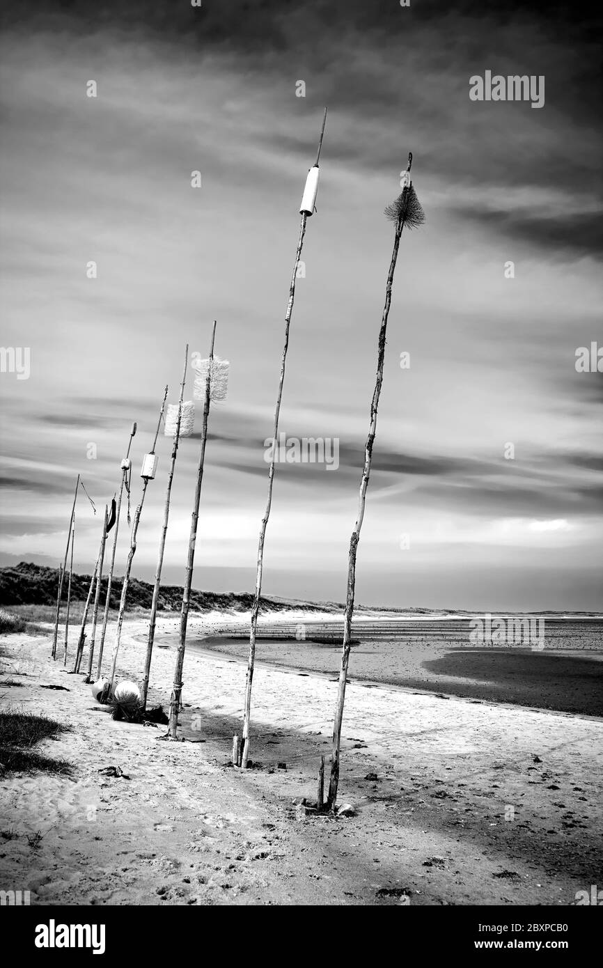 Floatsam and jetsam Black and White Stock Photos & Images - Alamy