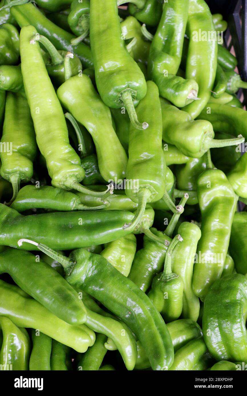 Closeup of sweet Italian green pepper friggitello on sale in a ...
