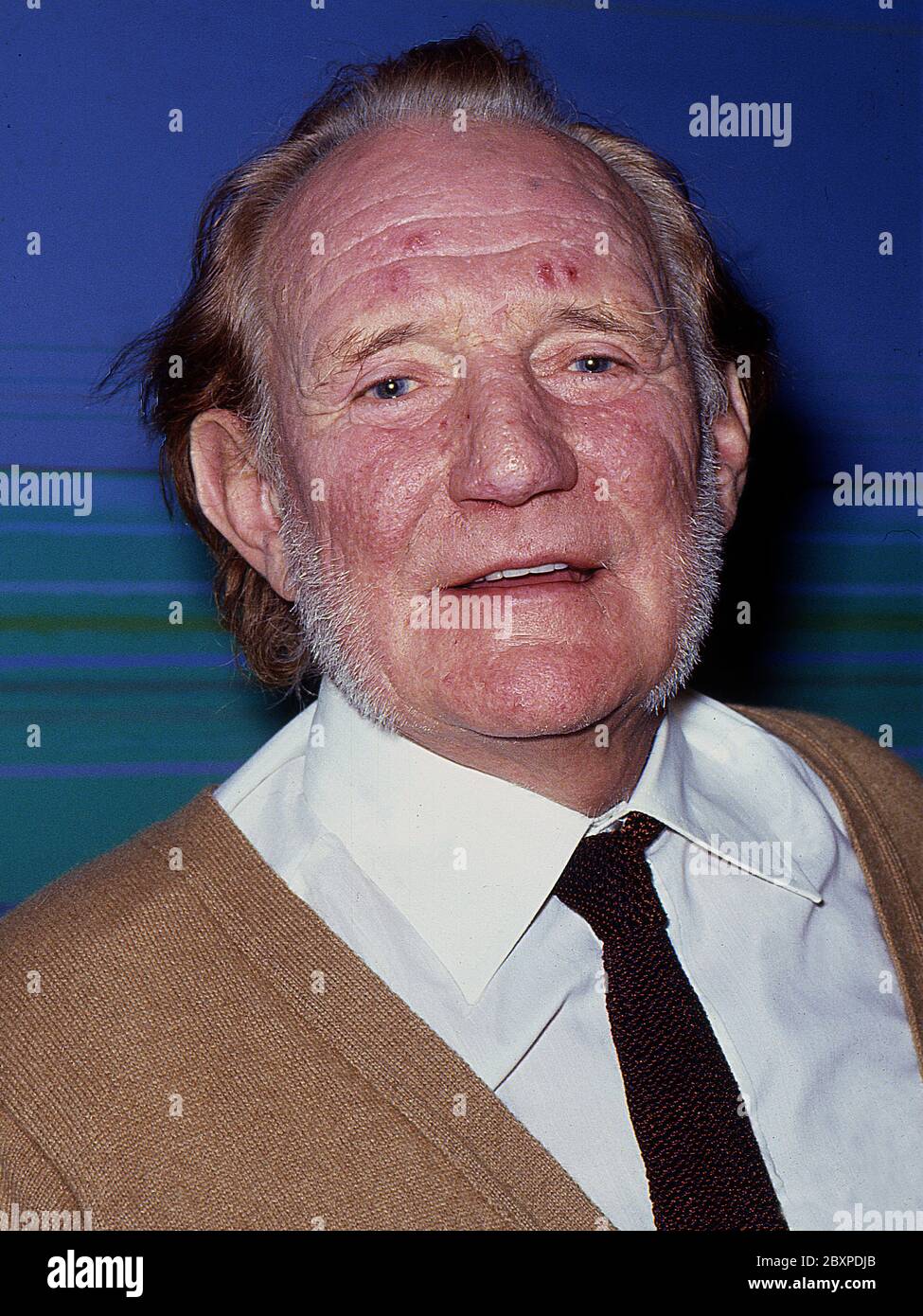 Reed Howard's Instagram, Twitter & Facebook on IDCrawl