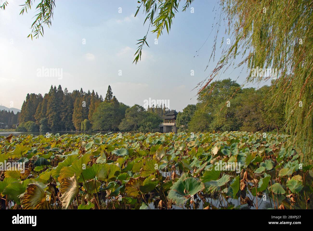 West Lake (Xi Hu) in Hangzhou, Zhejiang Province, China. Yudai bridge ...