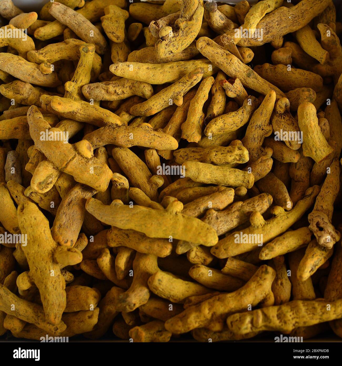 Curcuma roots hi-res stock photography and images - Alamy