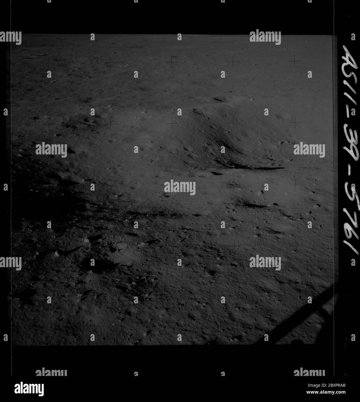 Moon leg Black and White Stock Photos & Images - Alamy