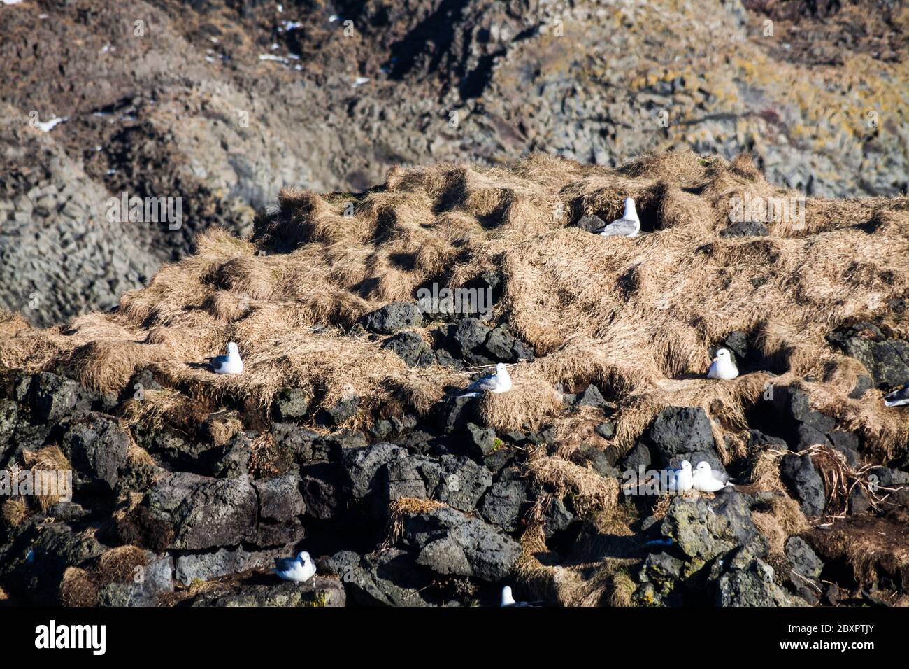Arnarstapi or Stapi is a small fishing village at the foot of Mountain ...