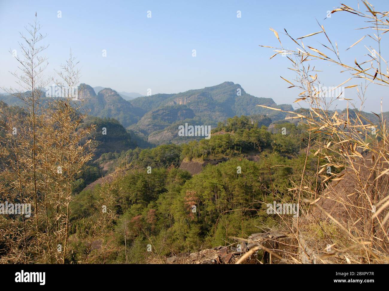 Wuyishan mountains in Fujian Province, China. Scenic view over the ...