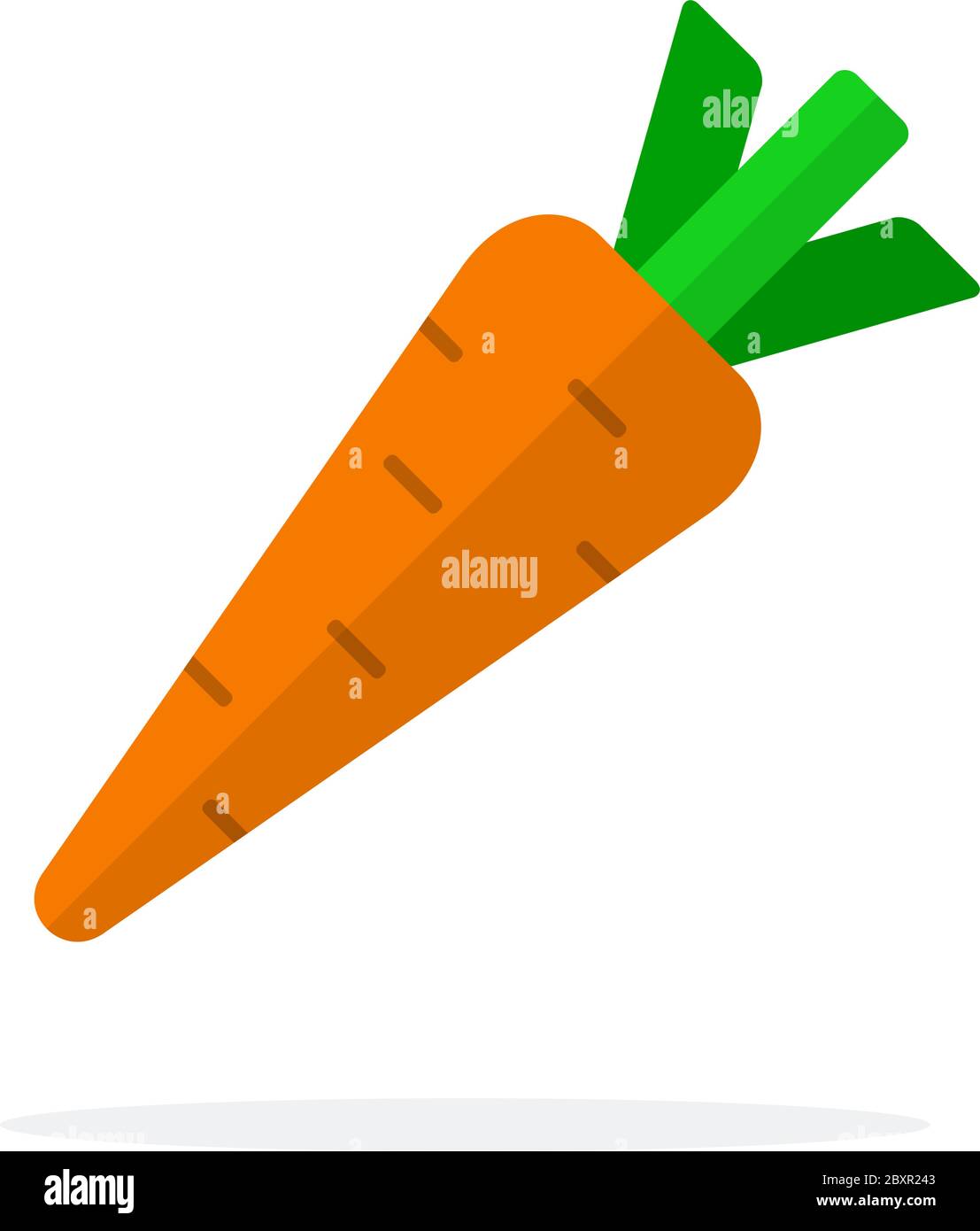 Carrot vector flat material design isolated object on white background ...