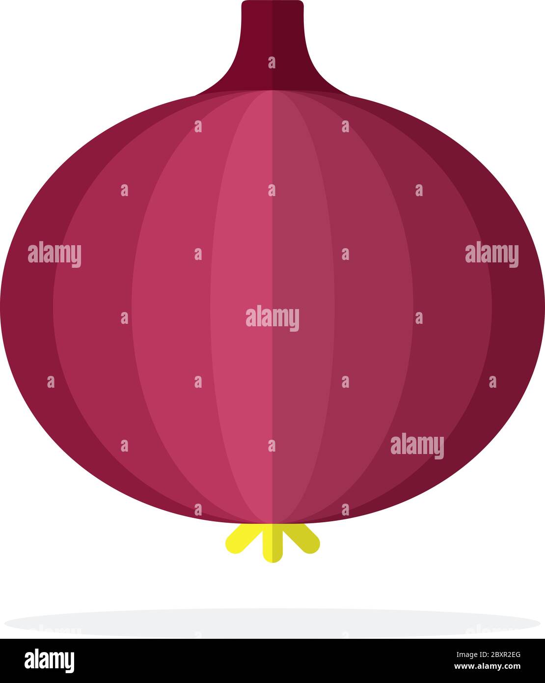 Red onion vector flat material design isolated object on white ...