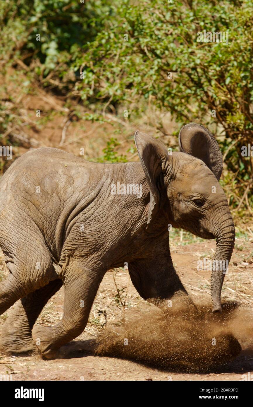 South africa bus stand hi-res stock photography and images - Alamy